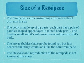 Mikayla Remipide Project | PPT