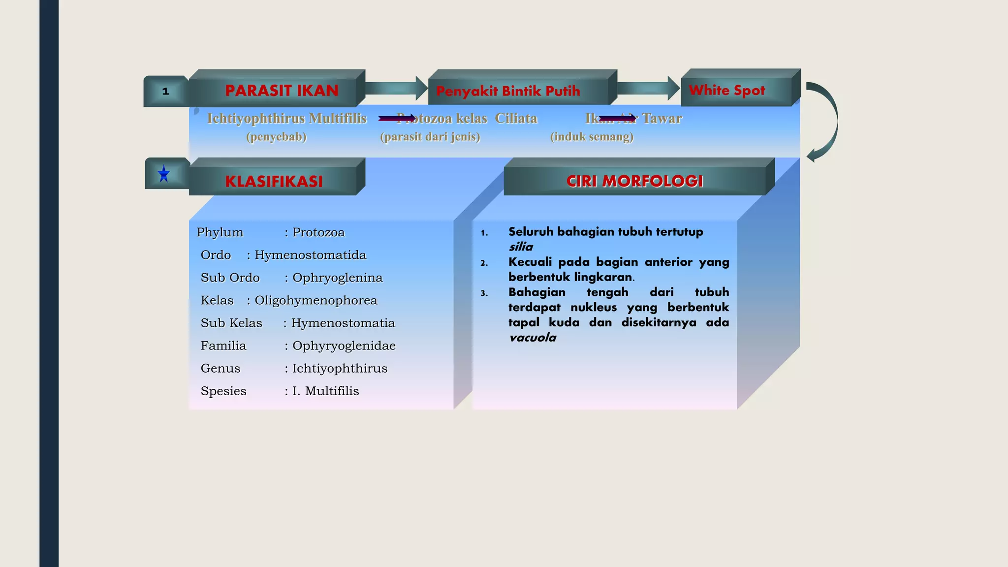 Mikdas eukariotik & prokariotik & parasit | PPTX