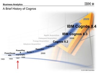 Working with the IBM Business Analytics Channel | PPTX