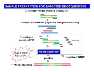 Multi-step real time PCR coupled with HRM enables rapid mutation assessment prior to targeted re ...