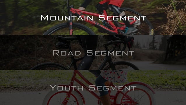 Mikes Bikes Business Simulation | Global 99.8th Percentile | PDF ...