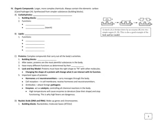 Biology - Regents Review Packet with Blanks | DOCX