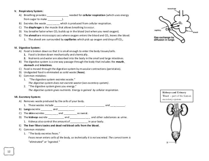Biology - Regents Review Packet with Blanks