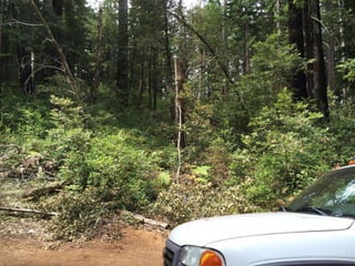 Where Land and Water Meet - Mike Swezy from Marin Municipal Water ...