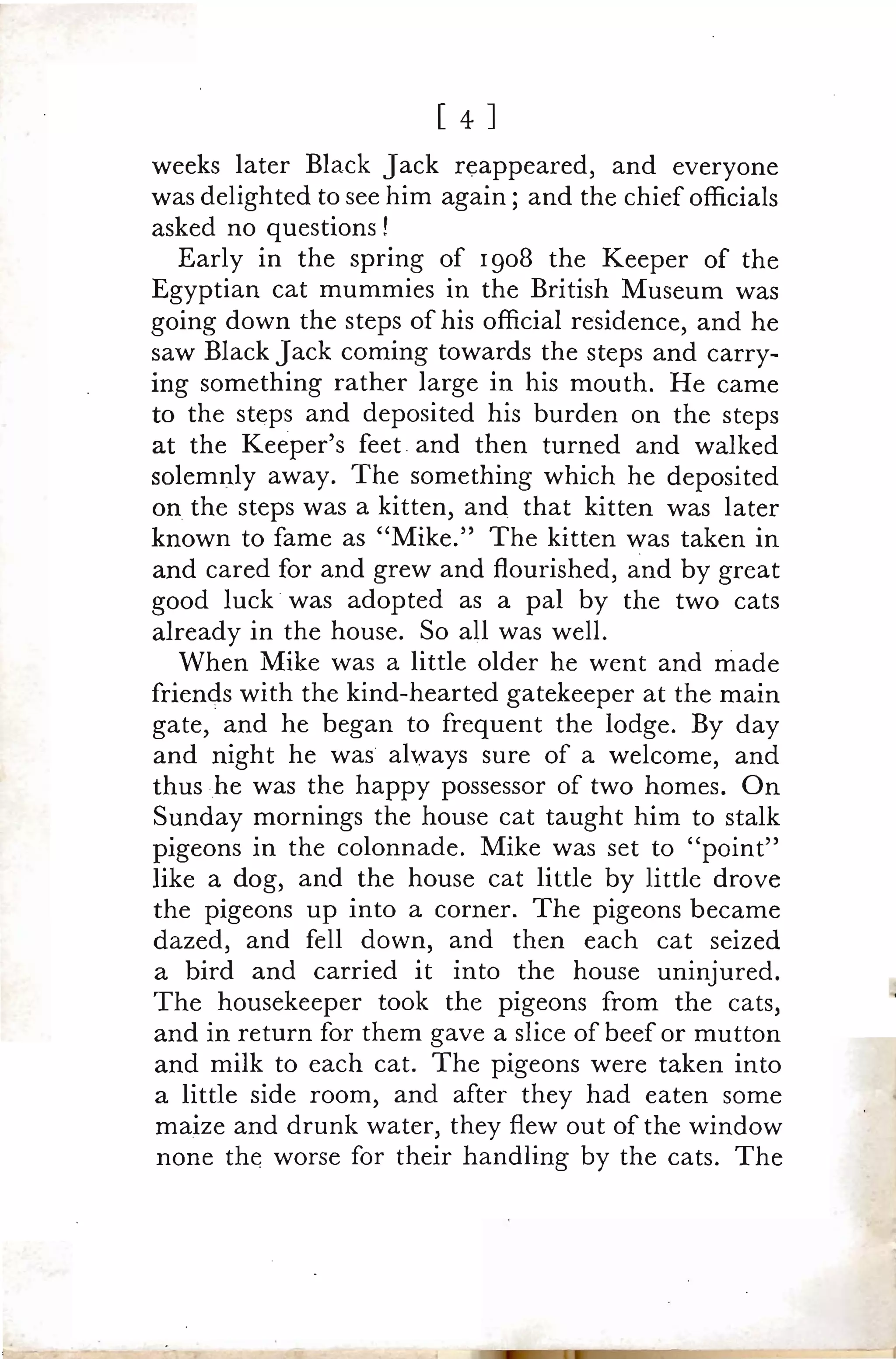 "Mike", the cat who assisted in keeping the Main Gate of the British ...