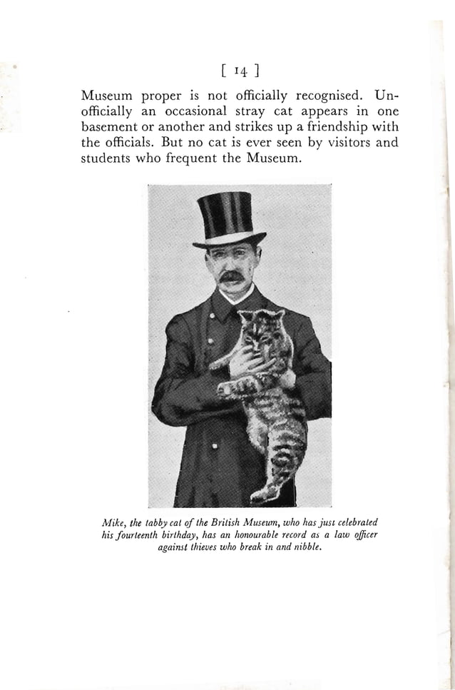 "Mike", the cat who assisted in keeping the Main Gate of the British ...