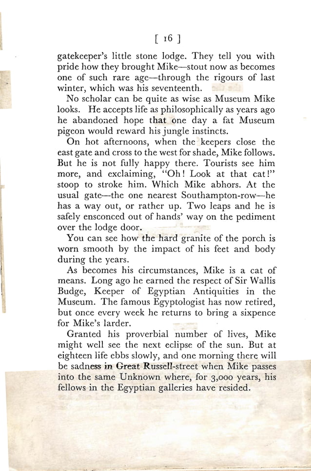 "Mike", the cat who assisted in keeping the Main Gate of the British ...