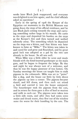 "Mike", the cat who assisted in keeping the Main Gate of the British ...