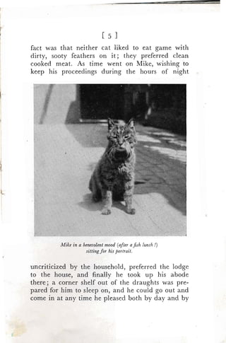 "Mike", the cat who assisted in keeping the Main Gate of the British ...