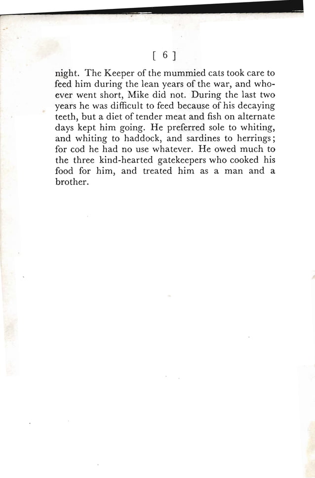 "Mike", the cat who assisted in keeping the Main Gate of the British ...