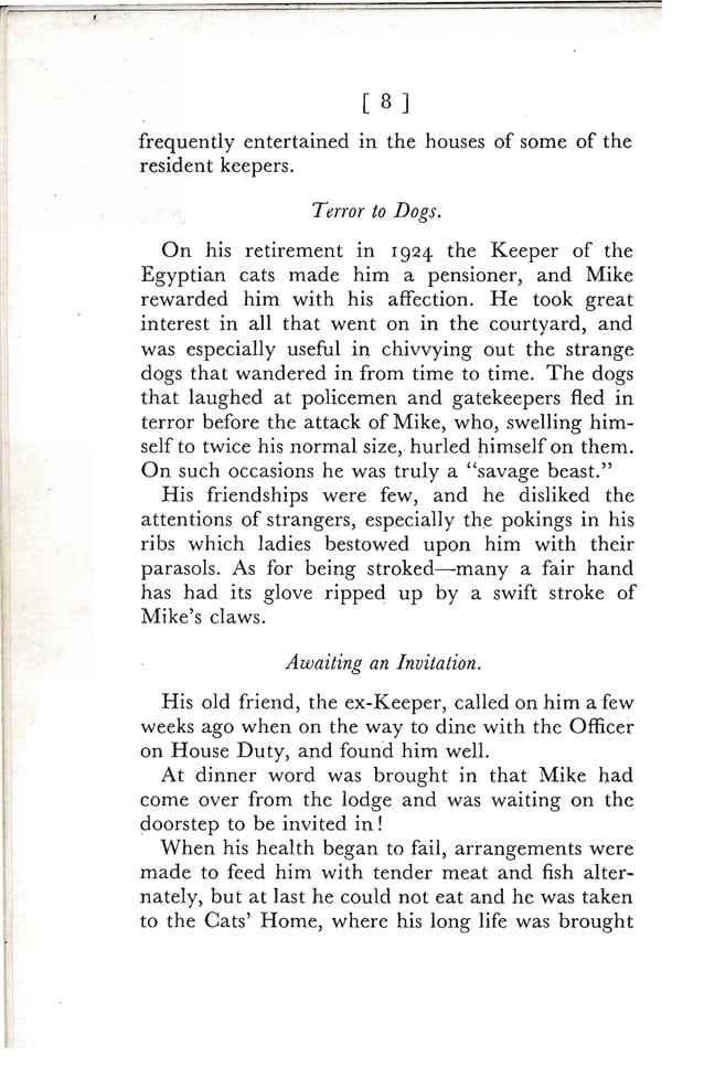"Mike", the cat who assisted in keeping the Main Gate of the British ...