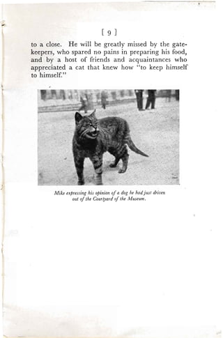 "Mike", the cat who assisted in keeping the Main Gate of the British ...