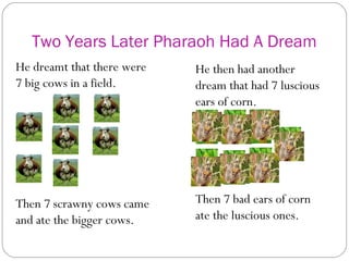 Parsha Presentations: Miketz | PPT