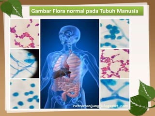 Flora normal serta hubungan hospes dan lingkungan | PPTX