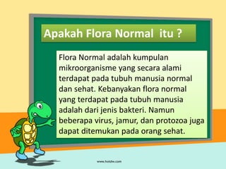 Flora normal serta hubungan hospes dan lingkungan | PPTX