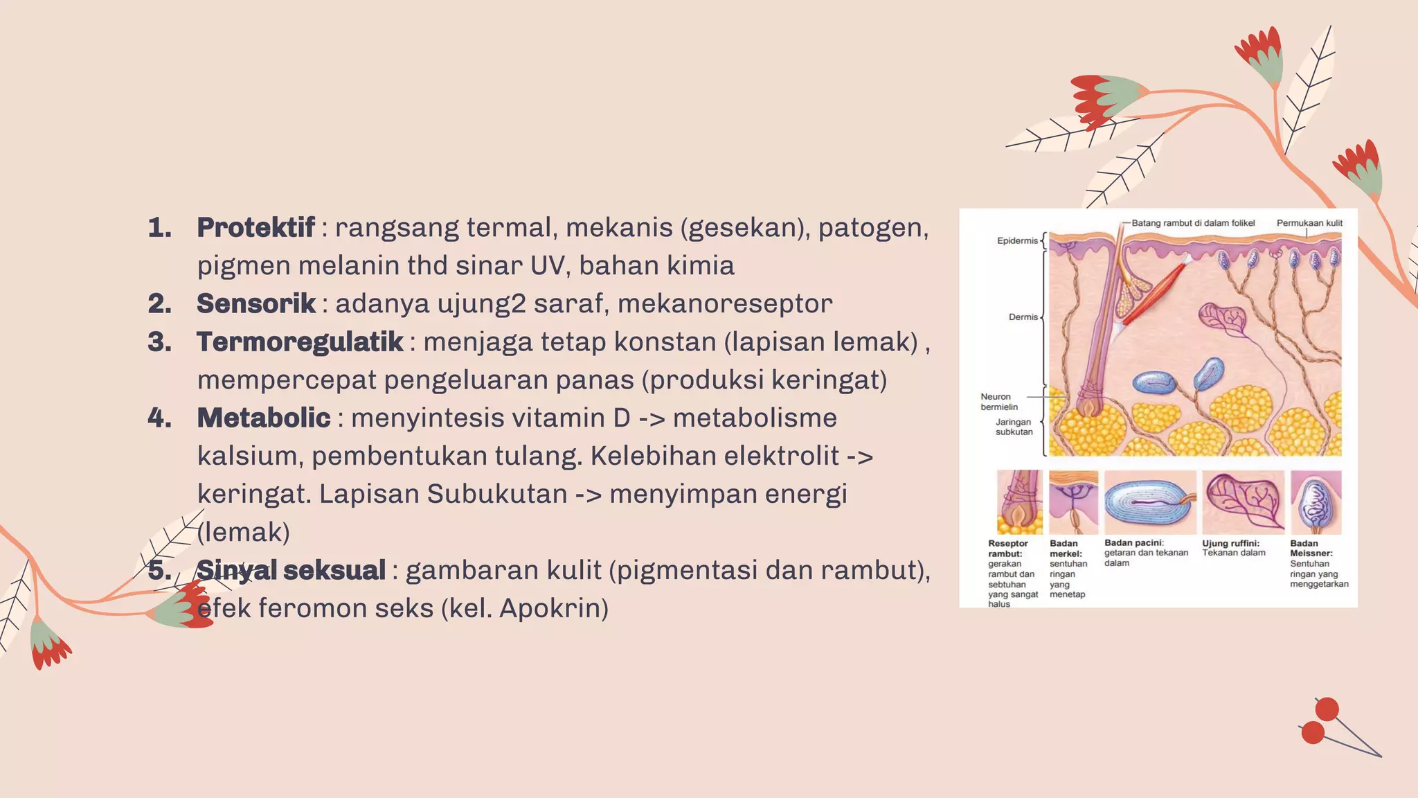 Histologi dan Fisiologi Kulit.pdf
