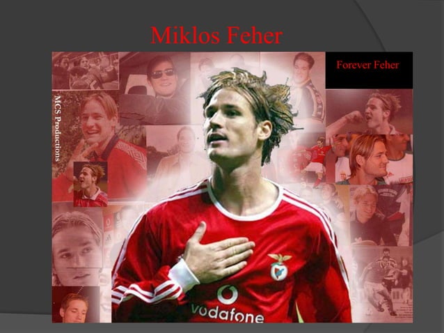 Miklos feher | PPTX