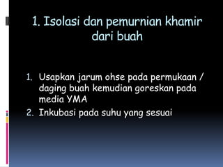 Mikologi | PPTX