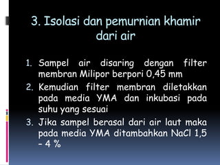 Mikologi | PPTX