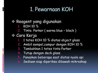 Mikologi | PPTX