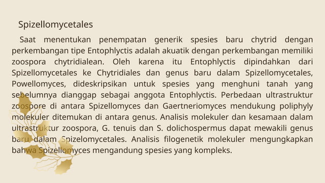 Mikologi tentang jamur dan lainnya lllllll | PPT