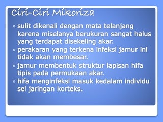 Mikoriza | PPTX