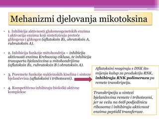 Mikotoskini | PPTX