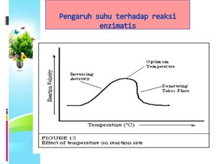 Metabolisme mikroba | PPTX