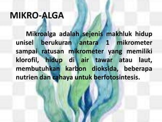 Mikroalga | PPTX