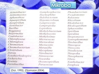 Mikroba bioplastik | PPTX