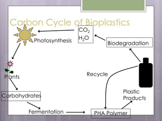 Mikroba bioplastik | PPT