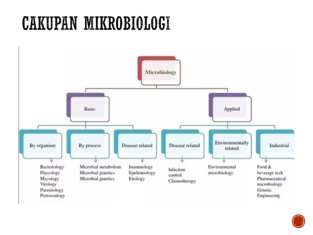 Mikrobiologi 1 2 | PPT