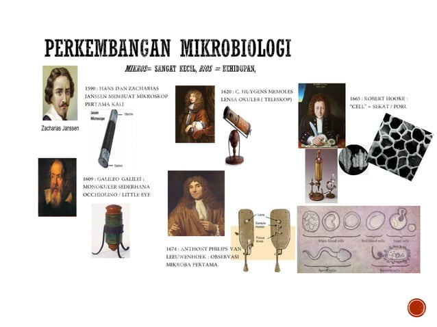 Mikrobiologi 1 2 | PPT