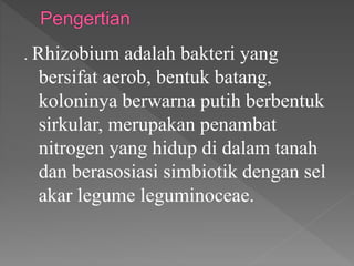 Mikrobiologi | PPTX