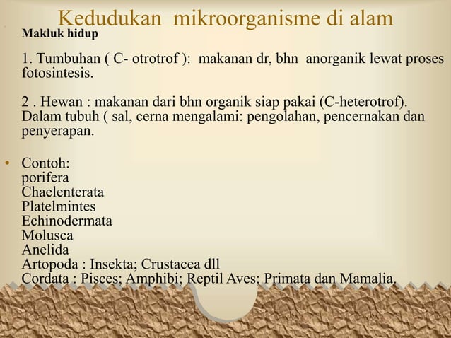Mikrobiologi.ppt