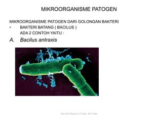 Eva Zuli Oktavia, S.Tr.Keb., M.Tr.Keb_Mikrobiologi.ppt