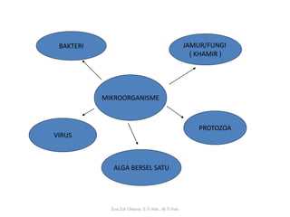 Eva Zuli Oktavia, S.Tr.Keb., M.Tr.Keb_Mikrobiologi.ppt