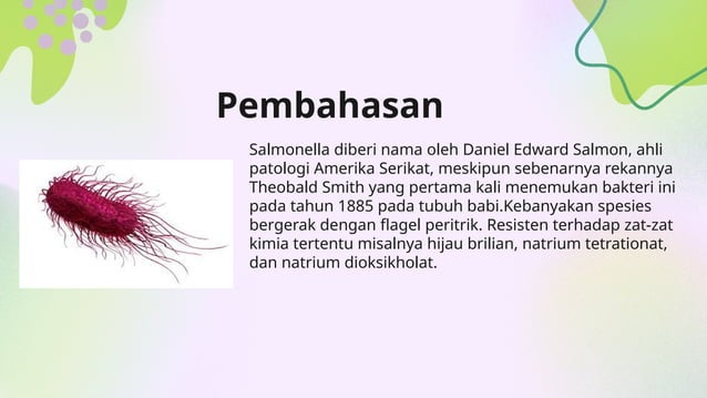 MIKROBIOLOGI-TENTANG BAKTERI SALMONELLA. | PPTX