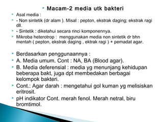 Pertumbuhan bakteri semester 2 THP UB | PPT