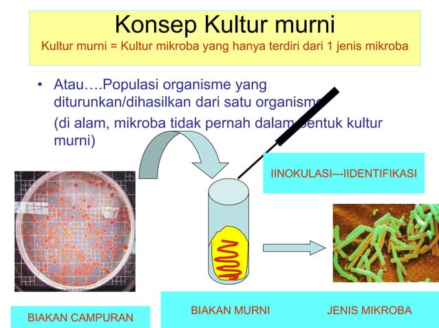 Mikrobiologi 1.ppt