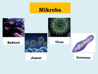 MIKROBIOLOGI 11 (TEKNIK ISOLASI BAKTERI).ppt