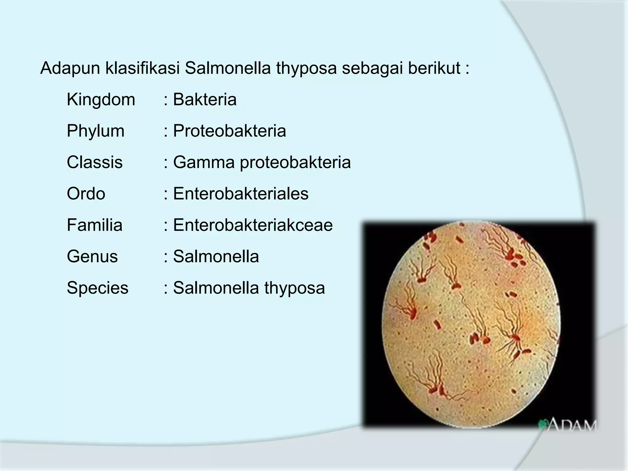 Mikrobiologi dan parasitologi | PPTX