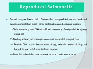 Mikrobiologi dan parasitologi | PPTX