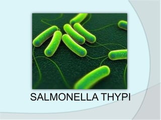 Mikrobiologi dan parasitologi | PPTX
