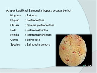 Mikrobiologi dan parasitologi | PPTX