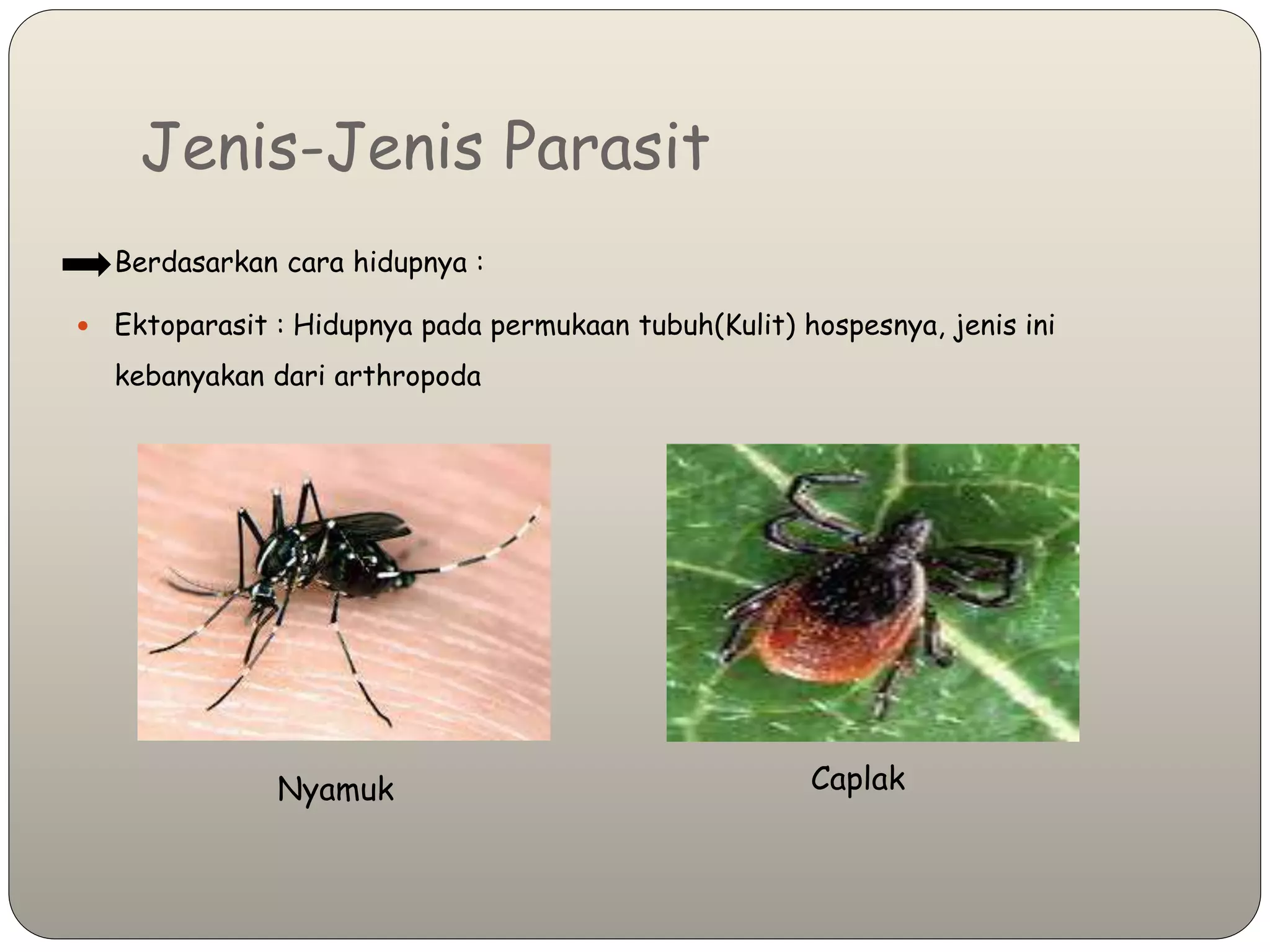Mikrobiologi dan parasitologi | PPTX