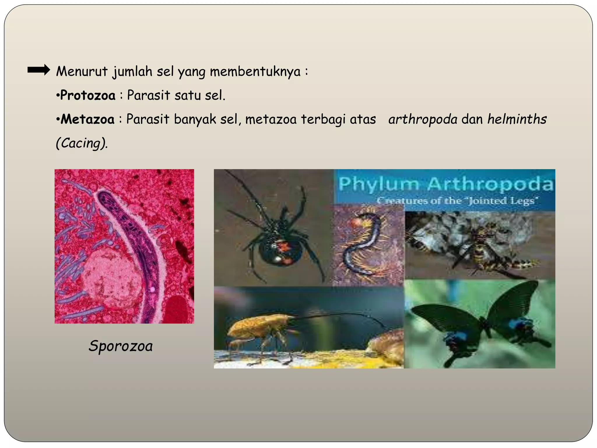 Mikrobiologi dan parasitologi | PPTX