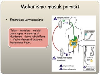 Mikrobiologi dan parasitologi | PPTX