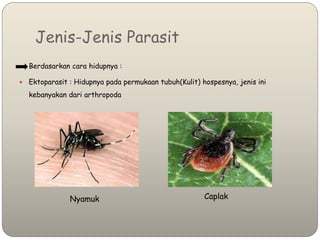 Mikrobiologi dan parasitologi | PPTX