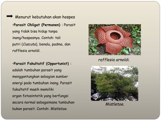 Mikrobiologi dan parasitologi | PPTX